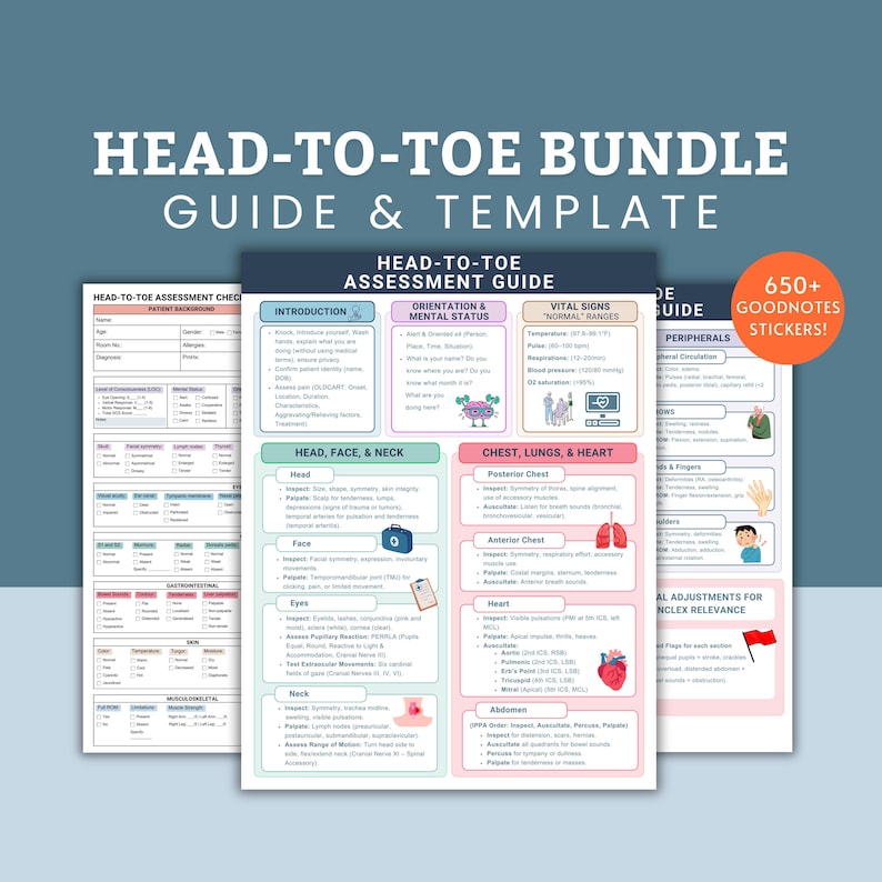 Head to Toe Assessment Guide, Nursing Assessment, Assessment Sheet ...