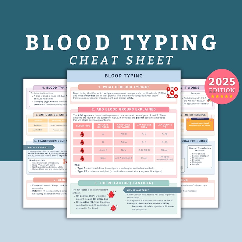Blood Typing Guide for Nursing Students, ABO, Rh Factor, Antigens ...