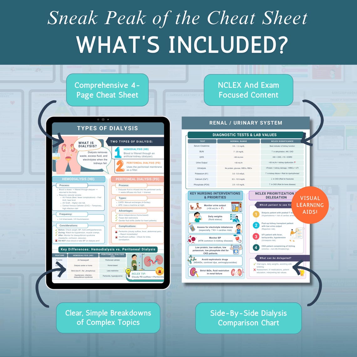 Renal Urinary System Cheat Sheet: Med Surg Nursing Notes (PDF) - Etsy