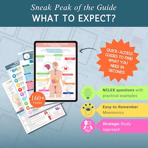 Nursing School Study Guide, NCLEX Study Guide, Nursing Nclex Notes ...