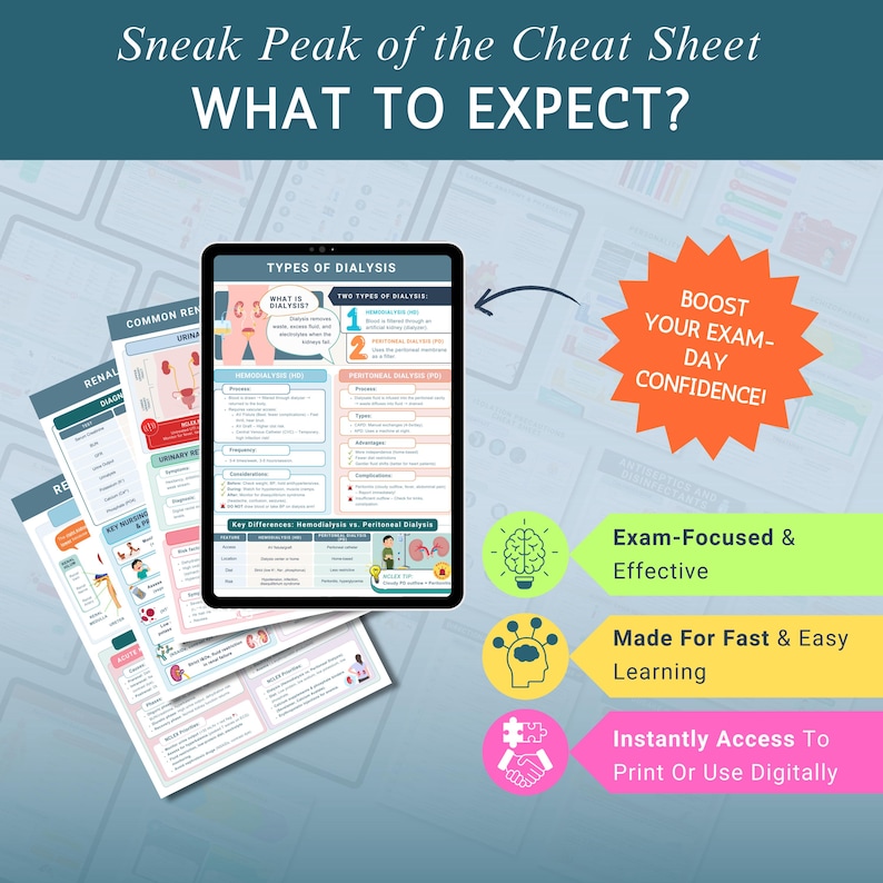 Renal Urinary System Cheat Sheet: Med Surg Nursing Notes (PDF) - Etsy