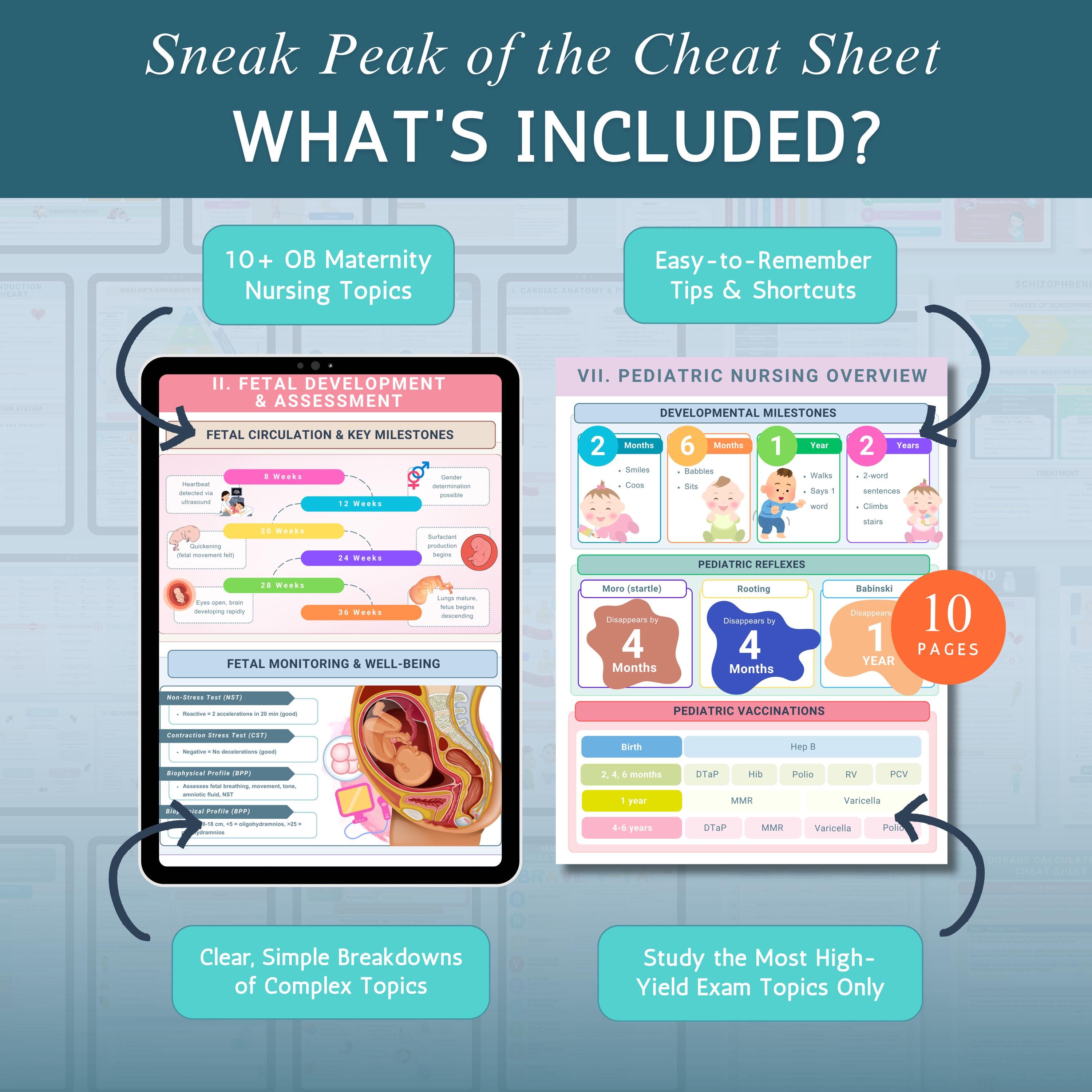 Maternity Cheat Sheet, OB Maternity Nursing Notes, Maternity Study ...