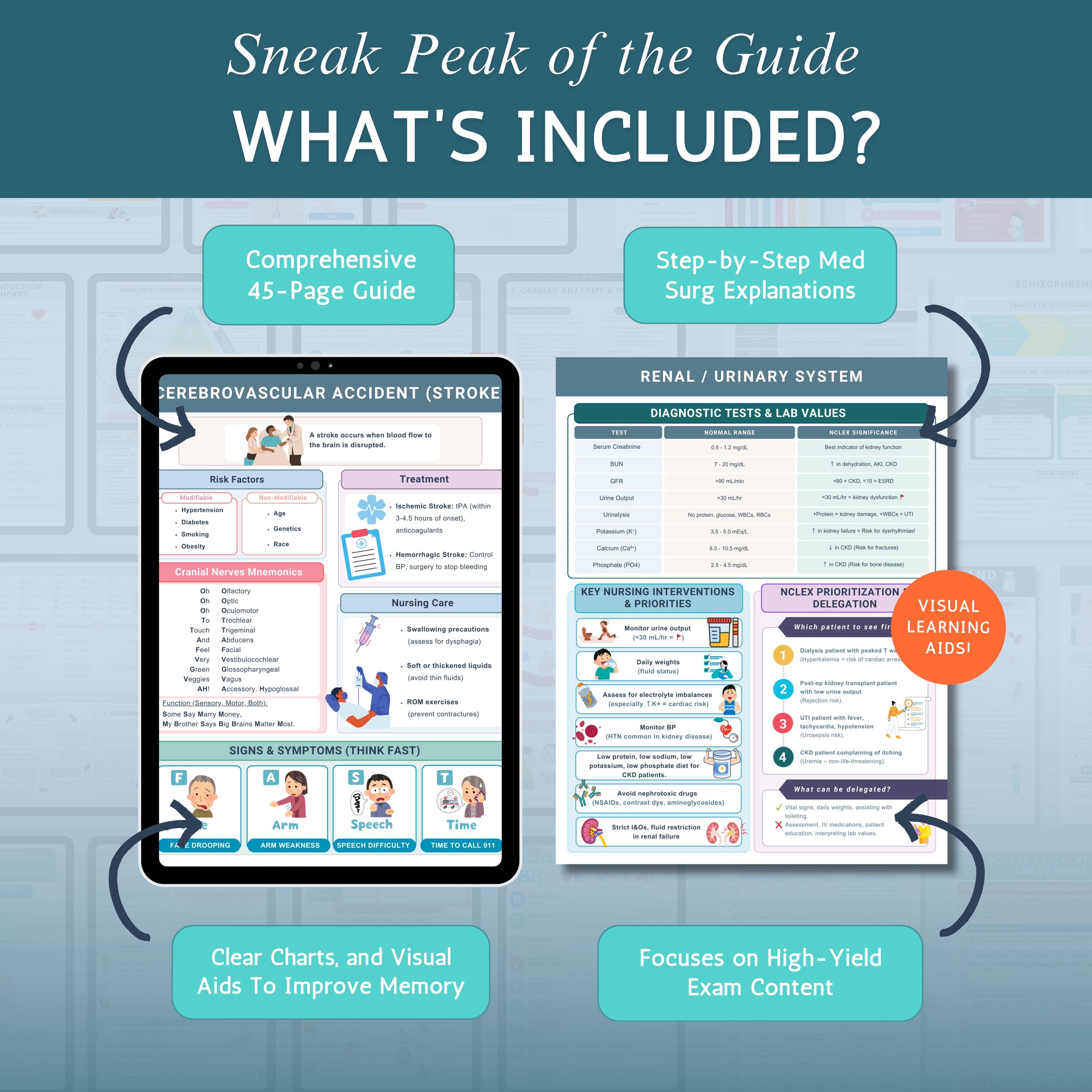 Med-surg Study Bundle, Med Surg Nursing, Nurse Med-surg Notes, Med-surg ...