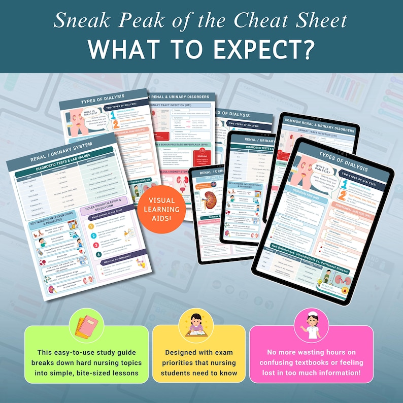 Renal Urinary System Cheat Sheet: Med Surg Nursing Notes (PDF) - Etsy ...