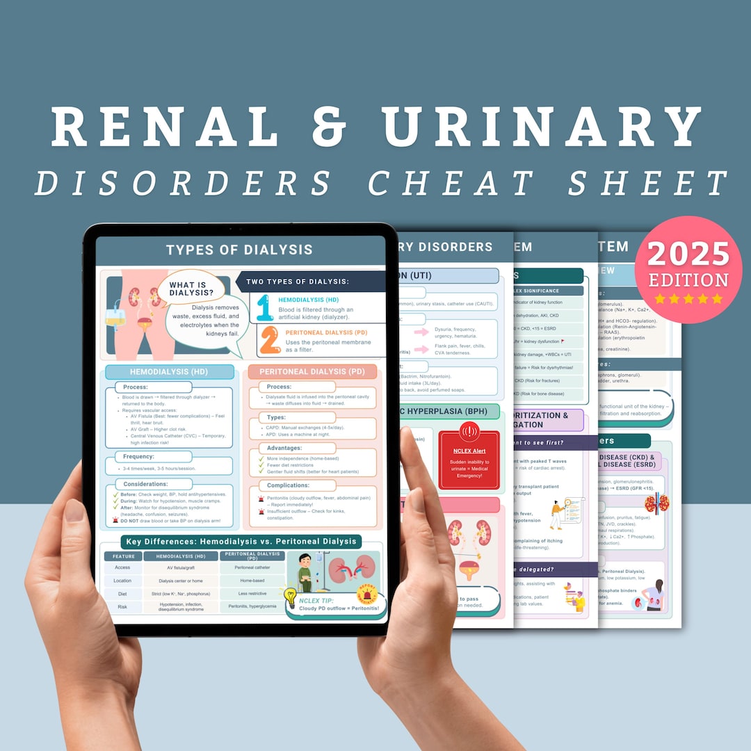 Renal / Urinary System & Diseases Cheat Sheet, Med Surg Nursing Notes ...
