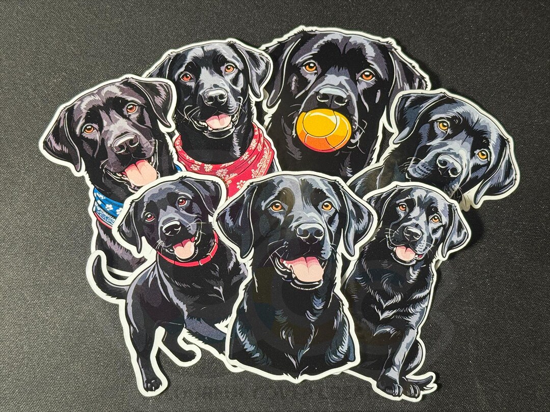 Cute Black Labrador Stickers in Matte/gloss/holographic - Sizes 2.5 ...