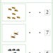Counting-matching : Activities for Early Learners–preschool Math ...