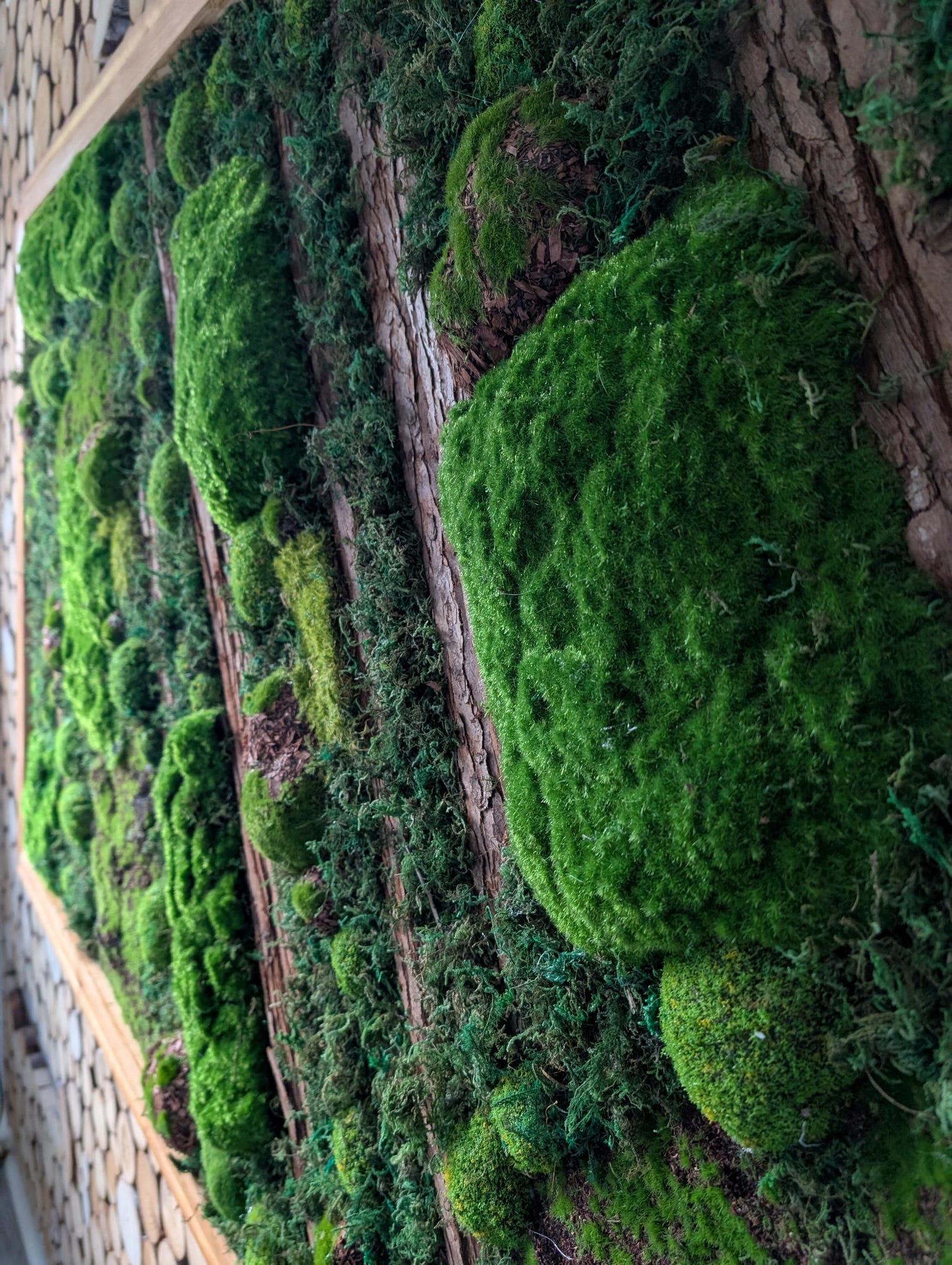 Tree Barks and Artificial Moss Wall Art, Wooden Frame Moss Wall Decor, New Home Decor, Botanical ...