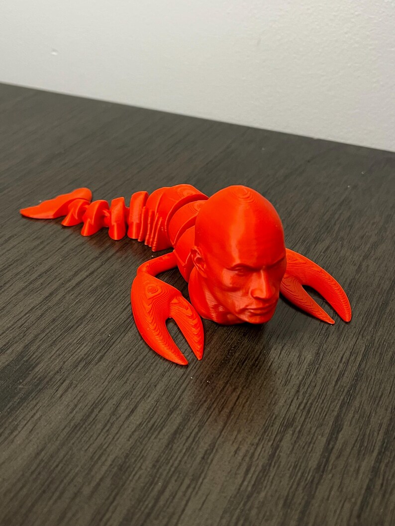 Dwayne "the Rock" Lobster – Flexible 3d-printed Fidget Toy – Custom ...