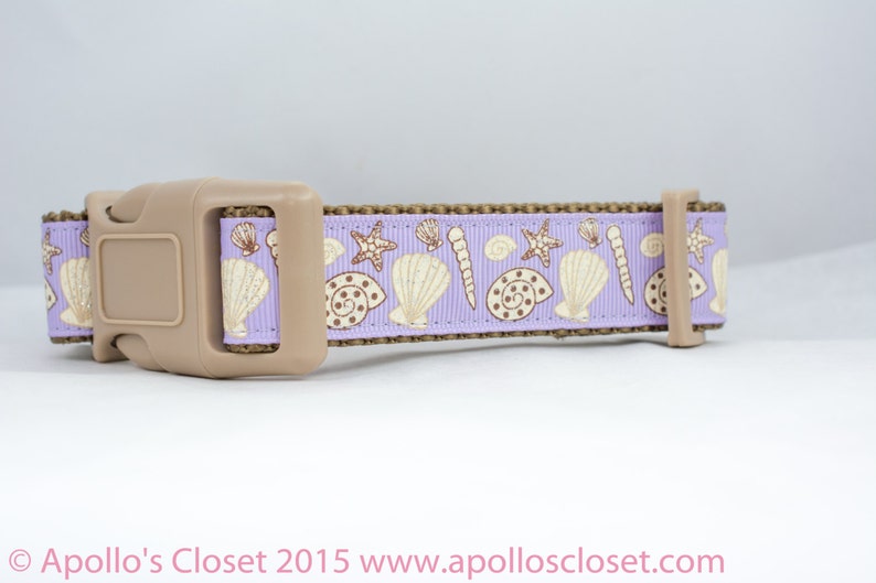 Orchid Sea Shells Dog Collar 1 Inch Wide Feminine Dog - Etsy