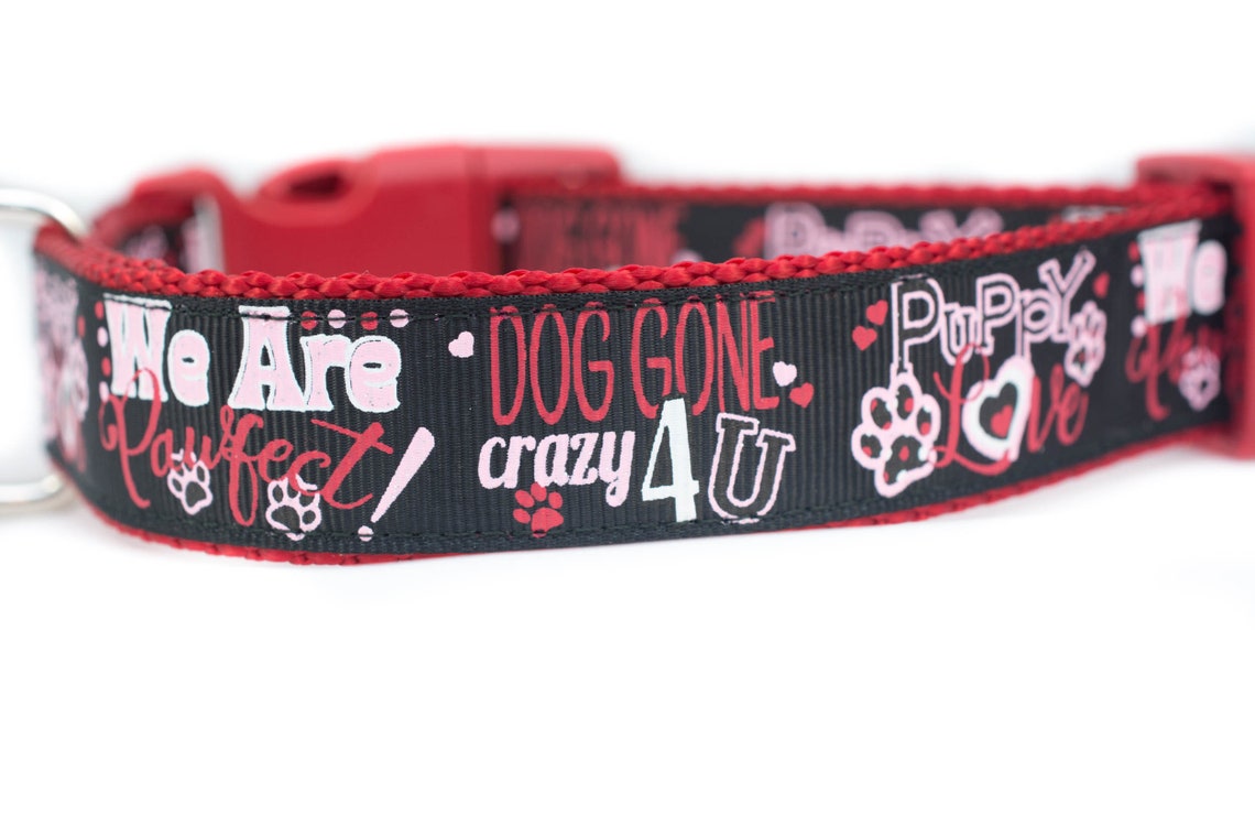 Dog Gone Crazy 4 U Dog Collar 1 Inch Wide Buckle or - Etsy