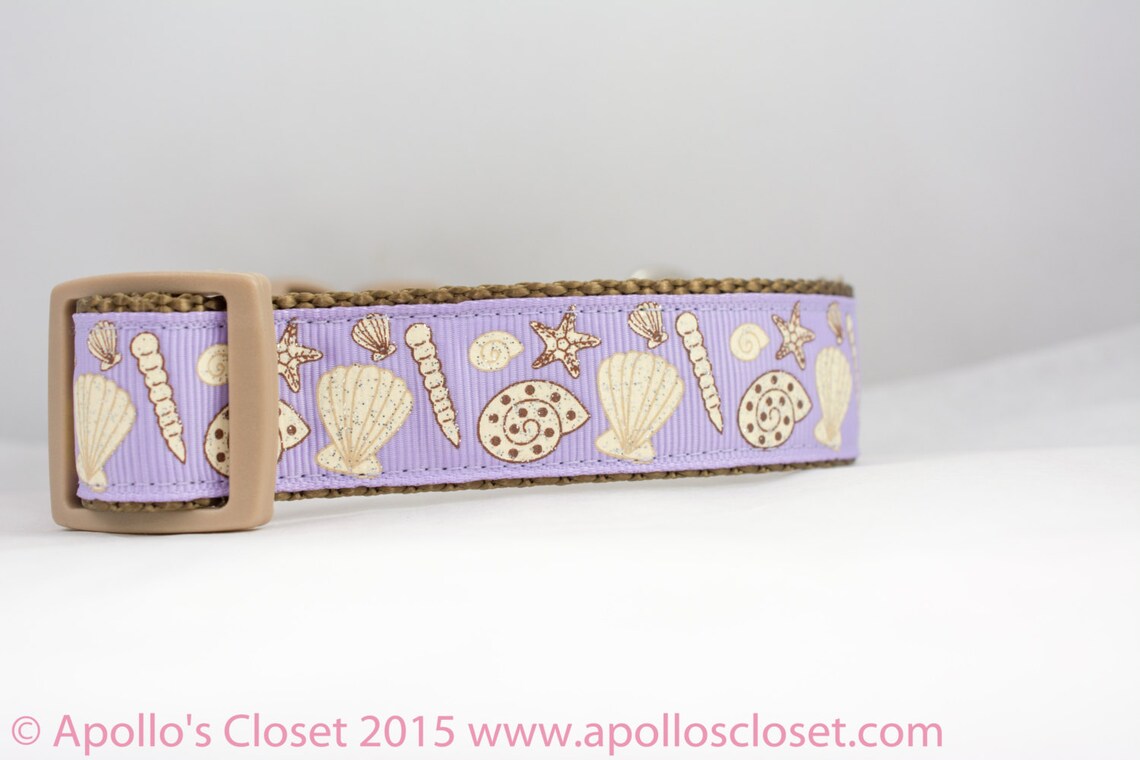 Orchid Sea Shells Dog Collar 1 Inch Wide Feminine Dog - Etsy