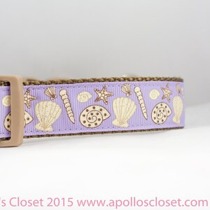 Orchid Sea Shells Dog Collar - 1 Inch Wide - Feminine Dog Collar ...