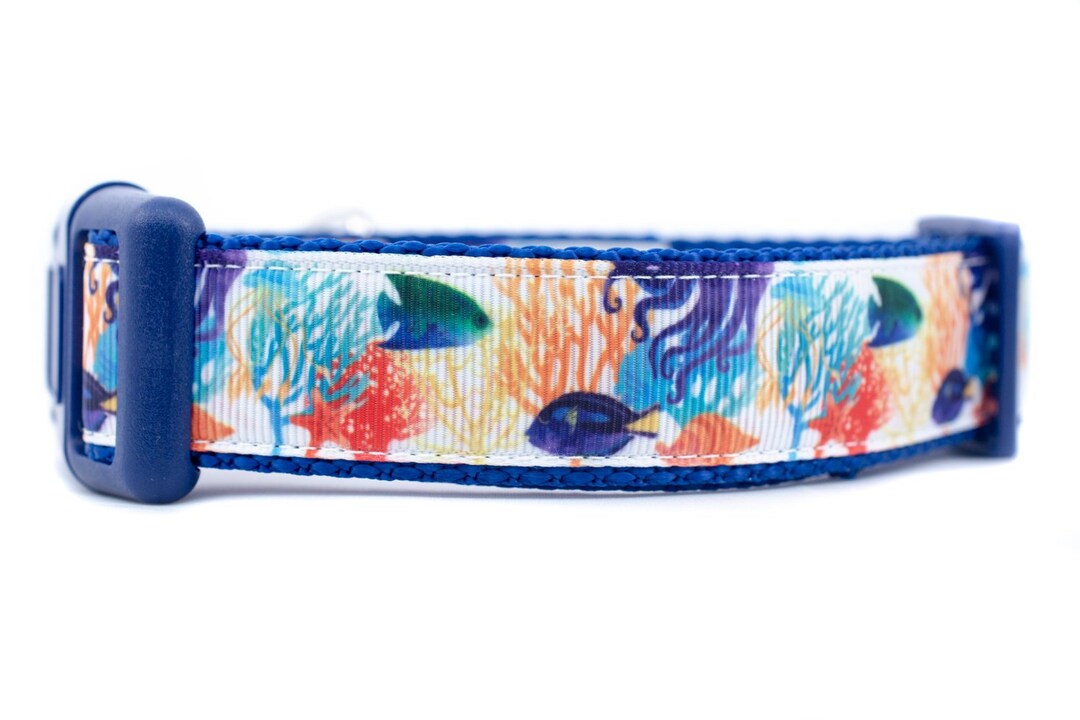 Coral Reef Dog Collar - 1 Inch Wide Collar - Buckle or Martingale ...