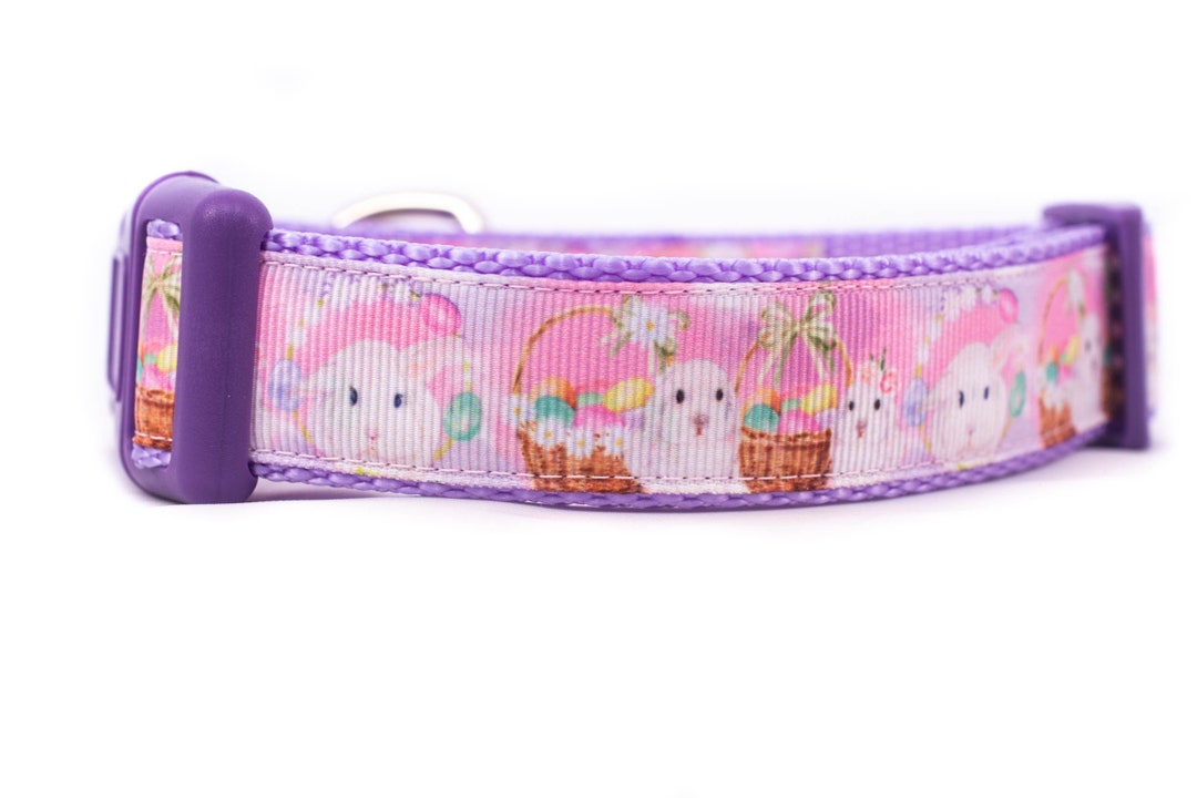 Purple Easter Bunny Dog Collar 1 Inch Wide Dog Collar - Etsy