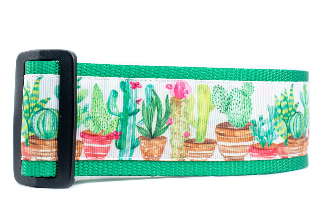Potted Western Cactus Dog Collar 2 Inch Wide Buckle or | Etsy