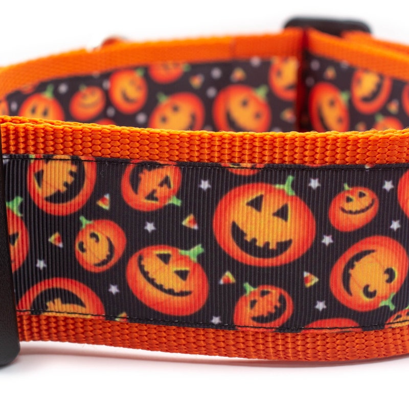 Halloween Dog Collar - Etsy