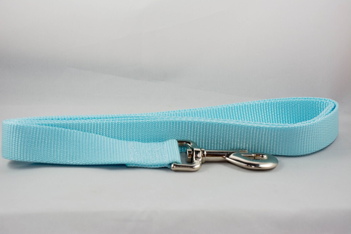 Nylon Dog Leash, 1 Inch Wide, 14 Color Choices, Black, Blue, Orange ...