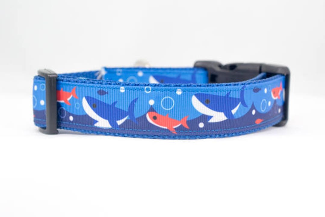 Blue Shark Dog Collar - 1 Inch Wide - Buckle or Martingale Collar ...