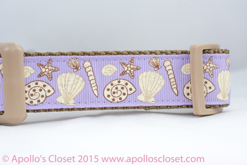 Orchid Sea Shells Dog Collar 1 Inch Wide Feminine Dog - Etsy