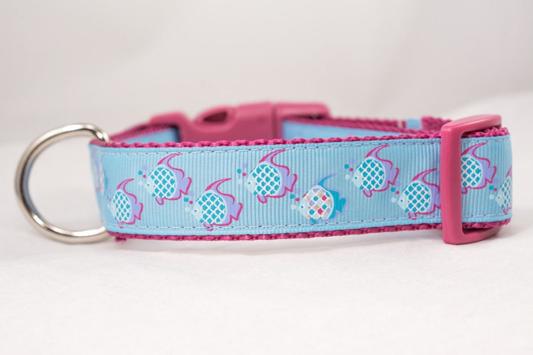 School of Fish Dog Collar - 1 Inch Wide - Buckle or Martingale Collar ...