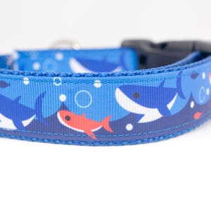 Blue Shark Dog Collar - 1 Inch Wide - Buckle or Martingale Collar ...