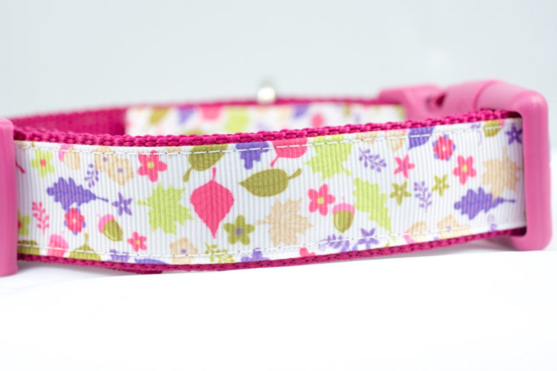 Fall Pretty Leaves Dog Collar - 1" Wide Fall Dog Collar- Thanksgiving ...