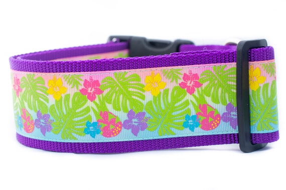 Hawaiian Tropics Dog Collar 2 inch wide collar buckle or | Etsy