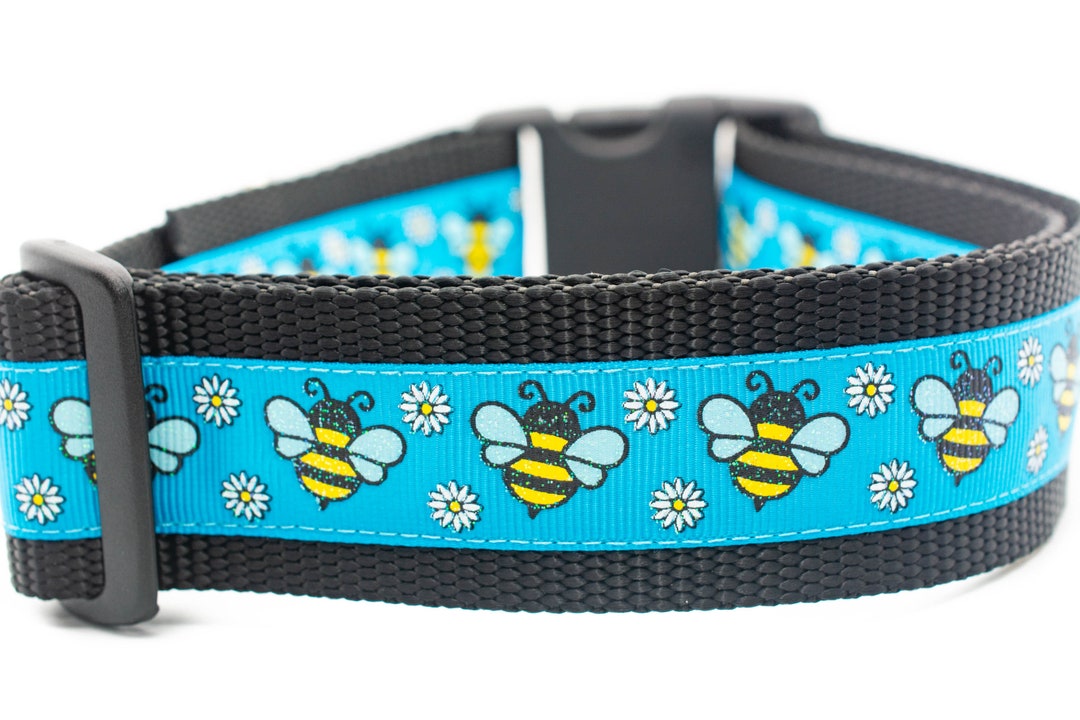 Turquoise Bee Dog Collar 1.5 Inch Wide Summer Dog Collar Bumble Bee Dog ...