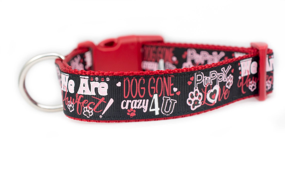 Dog Gone Crazy 4 U Dog Collar 1 Inch Wide Buckle or - Etsy