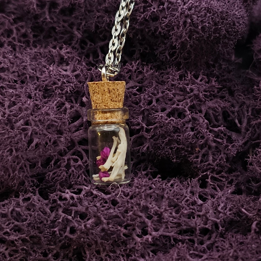Bone and Nature in Tiny Wish Bottle Necklace. Vessel Jewelry. Skull ...