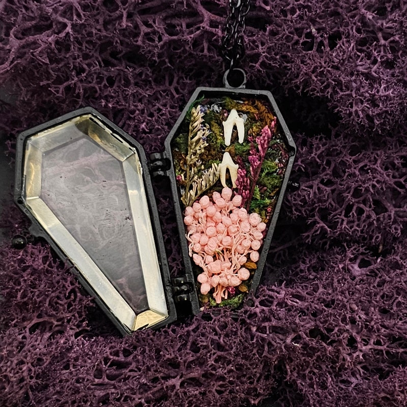 Glass Coffin - Etsy