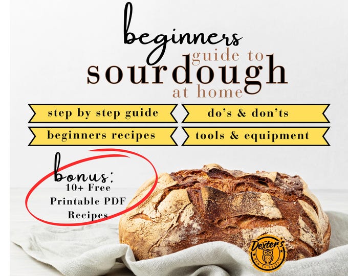 Beginner Sourdough Guide | Step-by-step Sourdough Ebook PDF Download ...