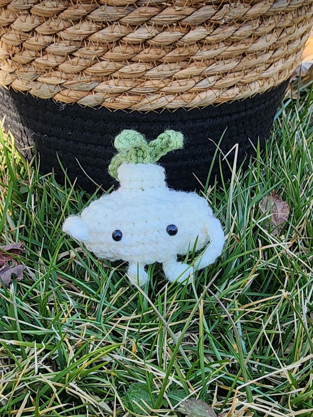 Crochet Garlic (made to Order) - Etsy