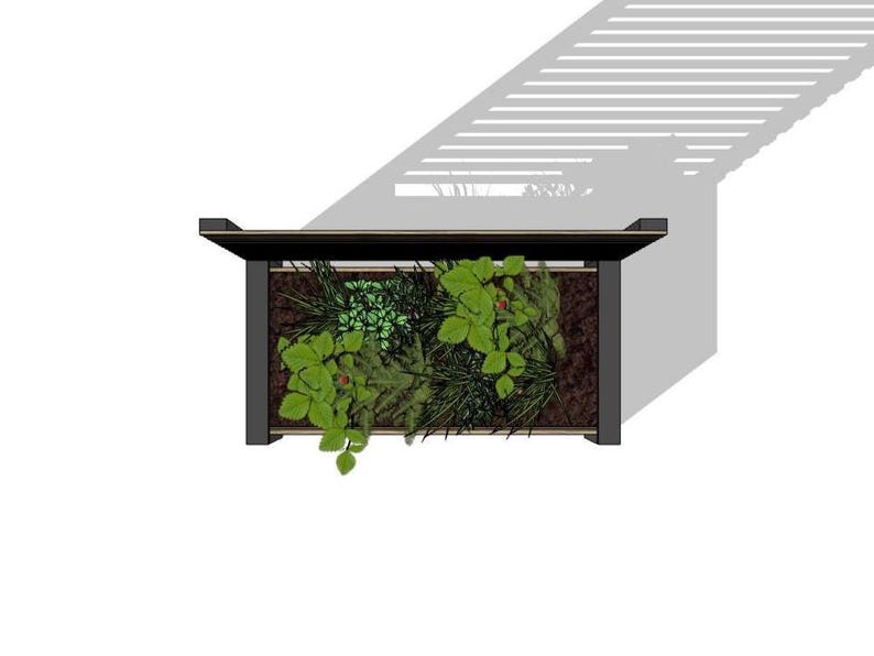 Planter Box With Trellis & Windscreen DIY Plan – Modern Outdoor Plant ...