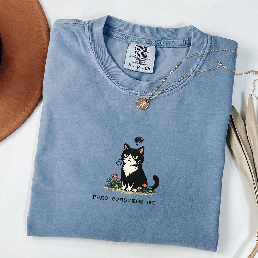 Comfort Colors® Funny Cat Meme Shirt, Rage Consumes Me, Oversize, Women ...