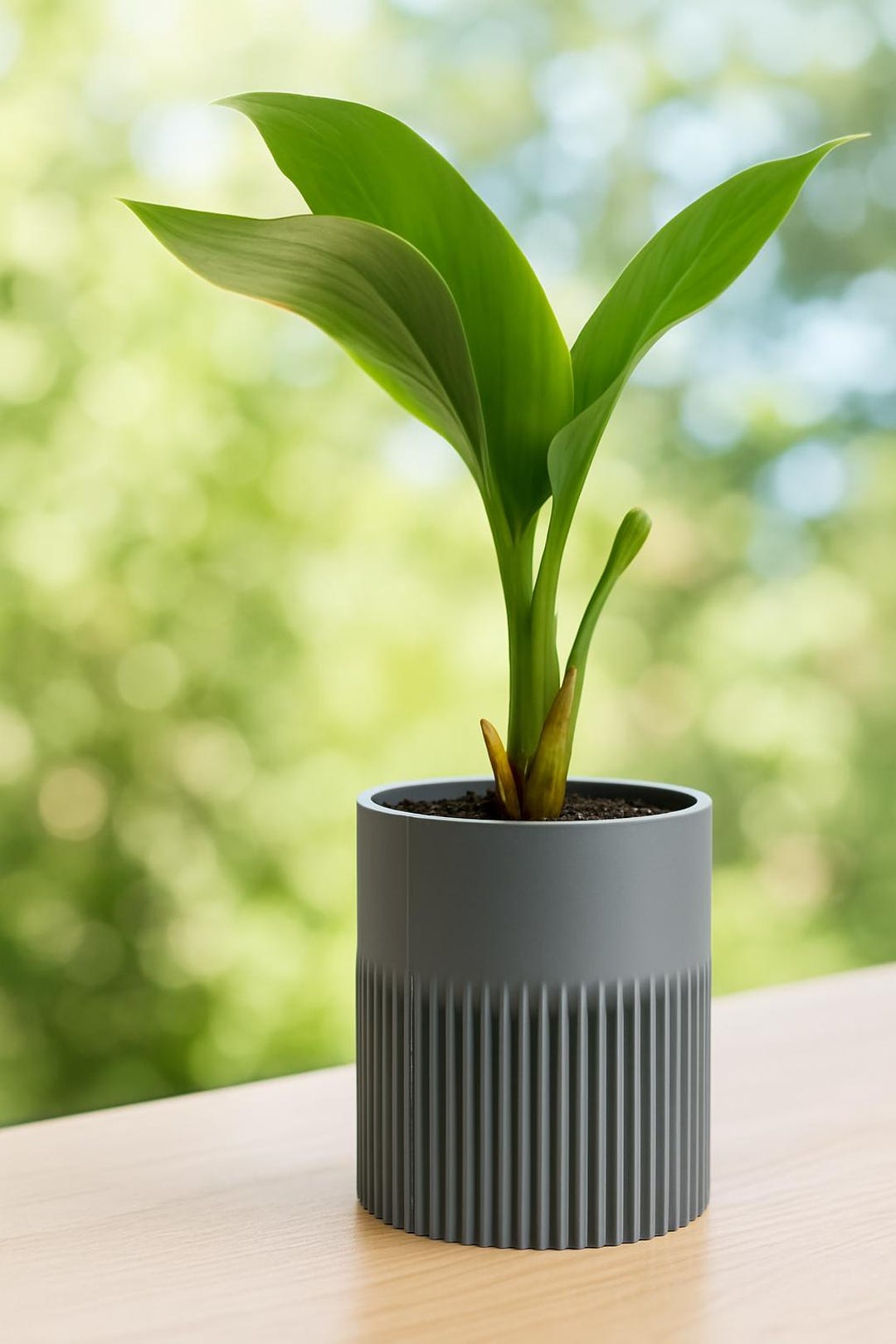Flute Planter – 3D Printed Modern Plant Pot, Spiral Design Succulent ...