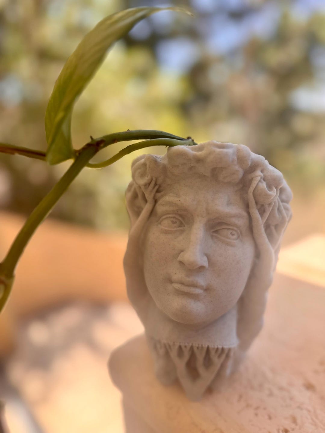 David Planter 3D Printed Bust Pot, Michelangelo Sculpture Planter ...
