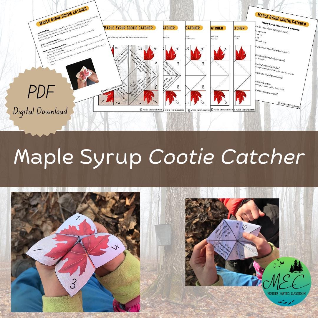 Maple Syrup Cootie Catcher Game, Learning Activity (digital Download ...
