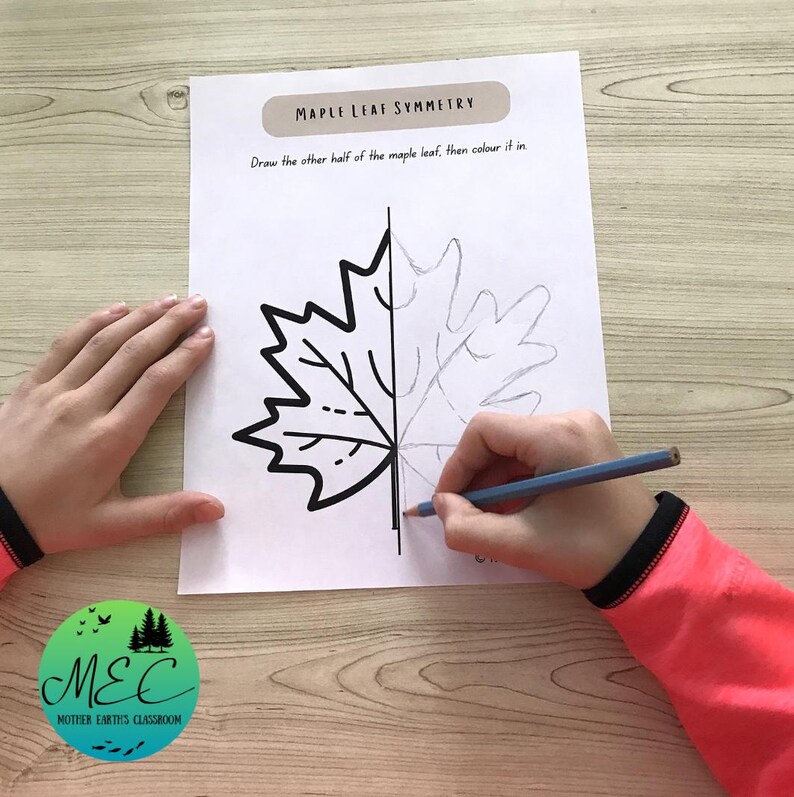 How to Make Maple Syrup: A Unit Study With Interactive Activities ...