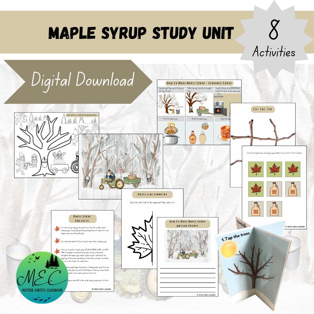 Maple Syrup Study Unit How to Make Maple Syrup From Sap Interactive ...