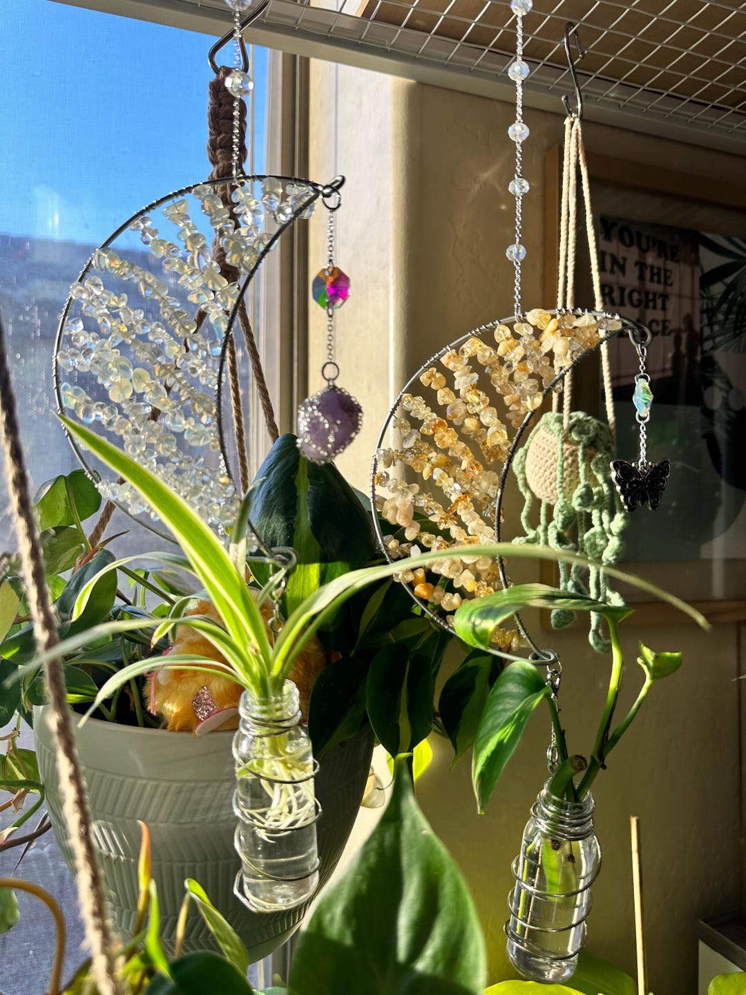 Plant Prop Crystal Suncatcher - Etsy