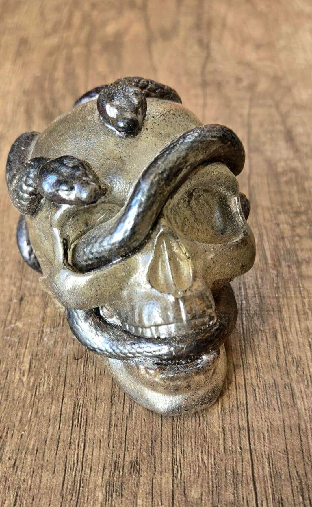 Resin Skull Head With Snake- Spooky Home Decor- Decorative Skulls ...