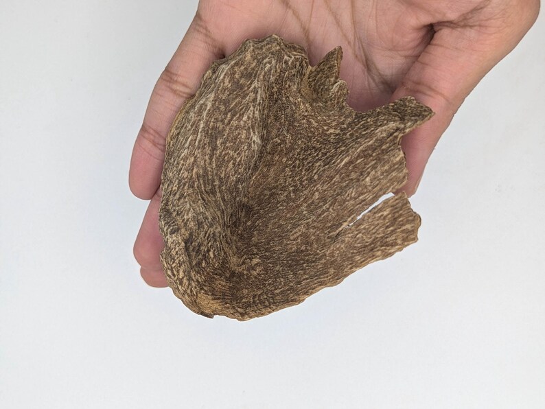 Unique Kalimantan Malinau Oud (select Piece) – Double / Triple Super ...