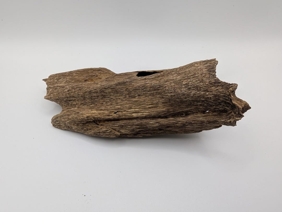Unique Kalimantan Malinau Oud (select Piece) – Double / Triple Super ...