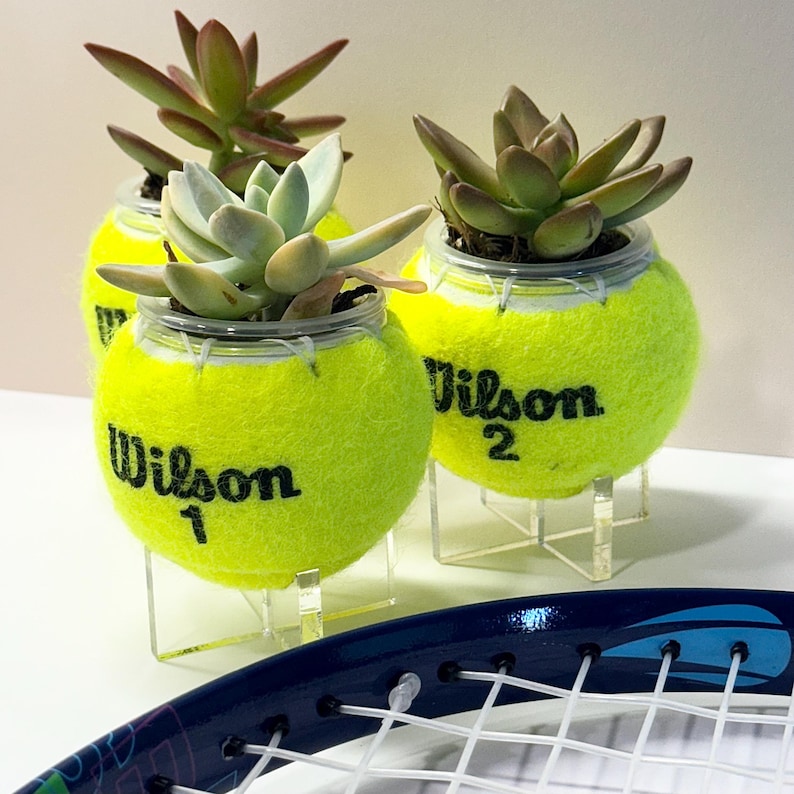 Tennis Ball Planter W/ Stand, Succulent Planter, Athlete, Tennis Gift ...