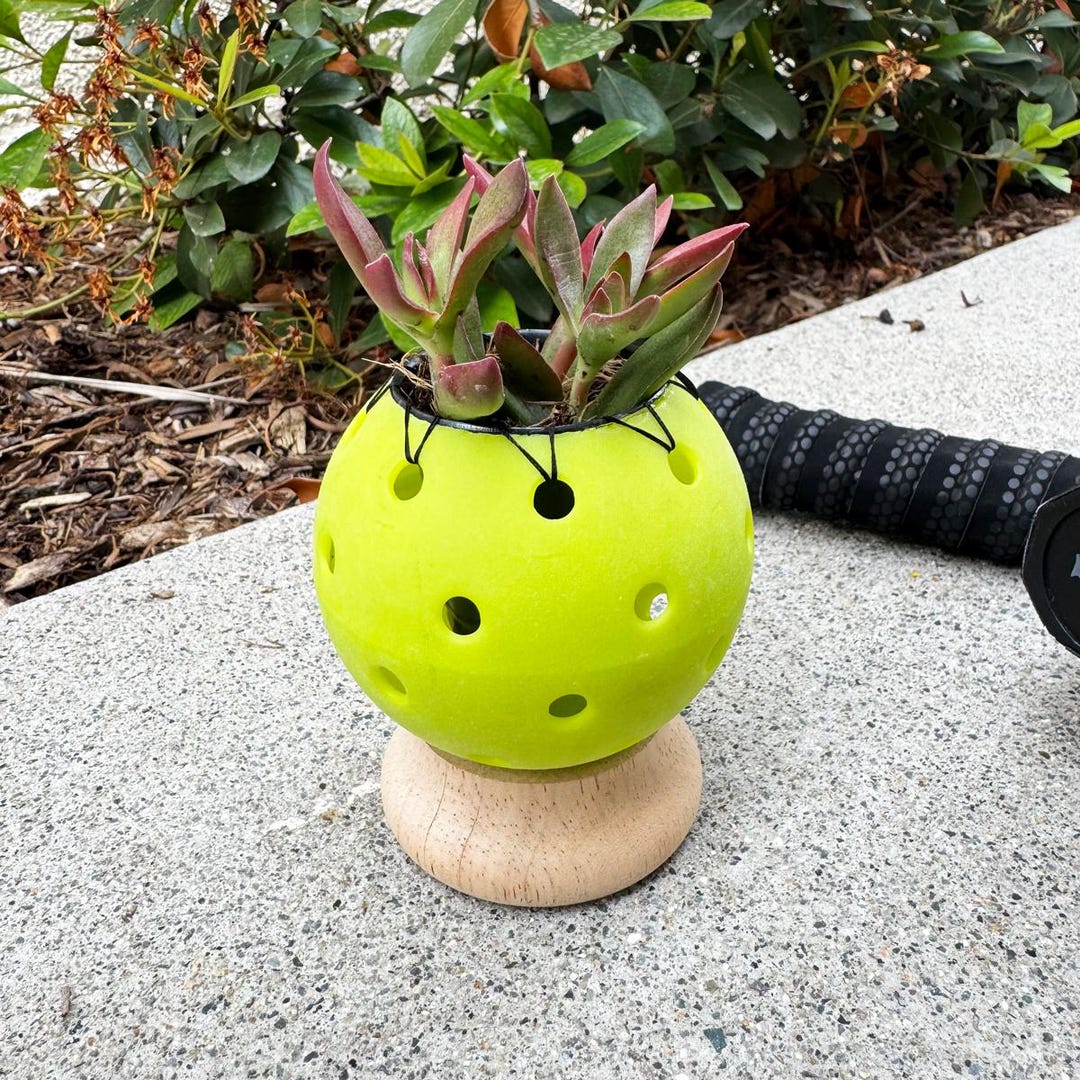 Pickleball Planter With Stand, Succulent Planter, Athlete, Pickleball ...