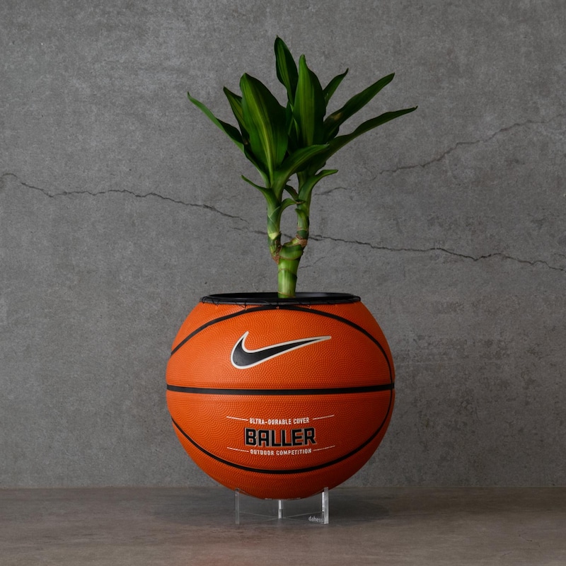 Basketball Planter - Etsy