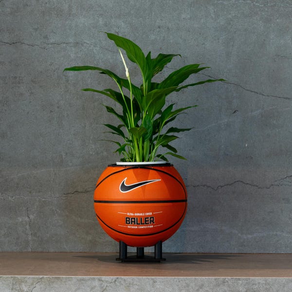 Basketball Planter - Etsy