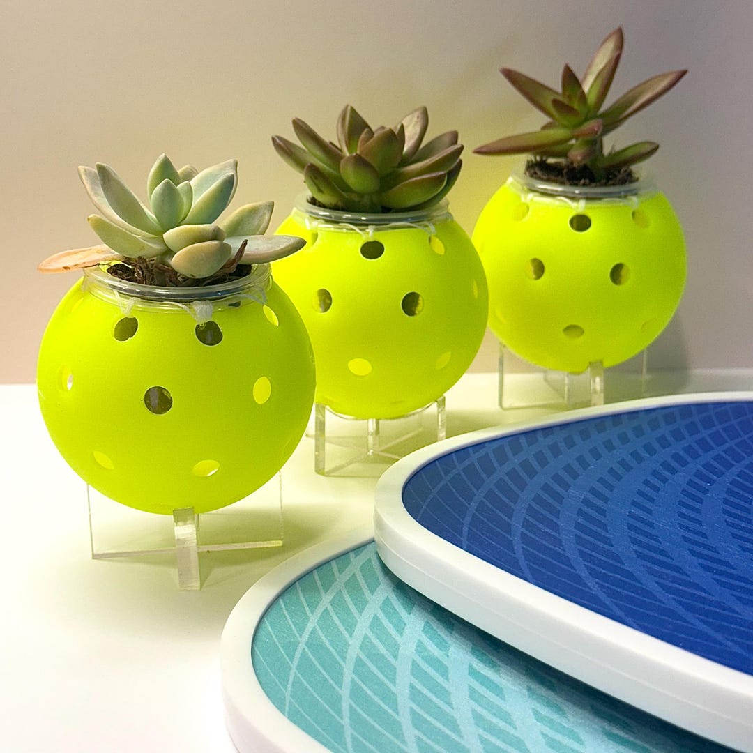 Pickleball Planter With Stand, Succulent Planter, Athlete, Pickleball ...